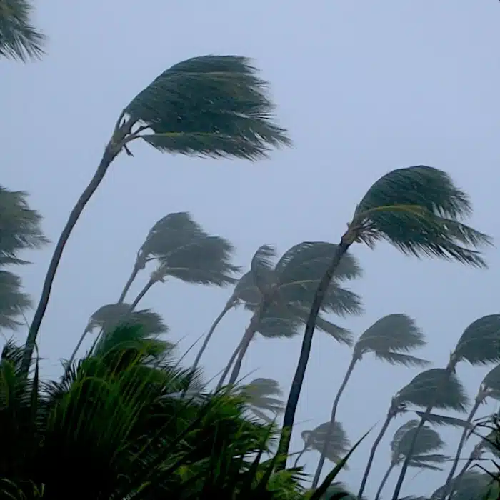 For all your roof repairs - Mackay and Whitsundays